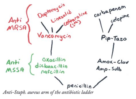 Infectious Disease Antibiotic Ladder Flashcards Quizlet