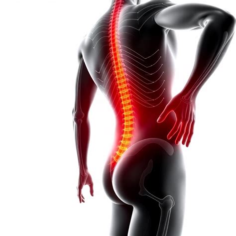 Tightness Of The Muscles Can Clamp Down On The Sciatic Nerve And Result