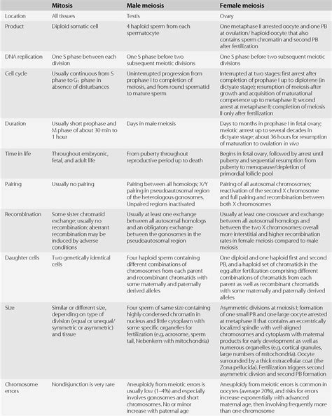 Difference Between Mitosis And Meiosis Table Price
