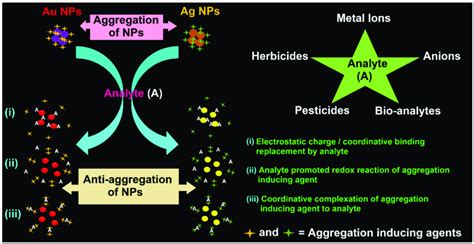 Schematic Of The Anti Aggregation Strategy Applied In Au Npsag Download Scientific Diagram