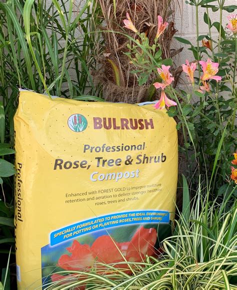 Bulrush Professional Rose Tree And Shrub Compost