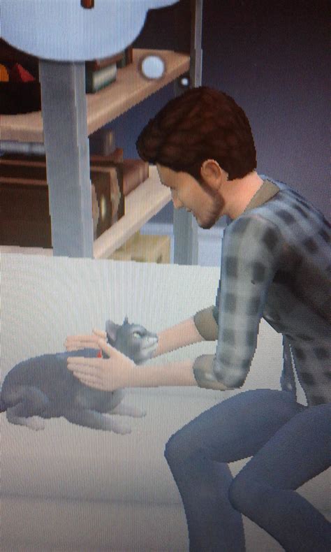 I Made A Toothless Cat In The Sims 4 Hes Going To Valhalla Vanaheim Soon R Thesims