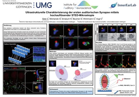 Pdf Ultrastructural Characterization Of The First Auditory Synapse