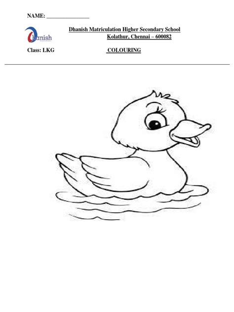 Colouring Lkg Pdf