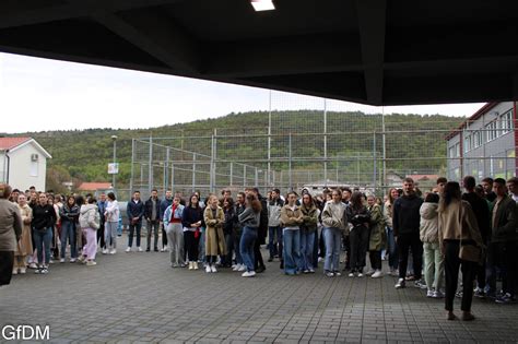Edukacija Učenika I Zaposlenika Srednjih škola Gfdm