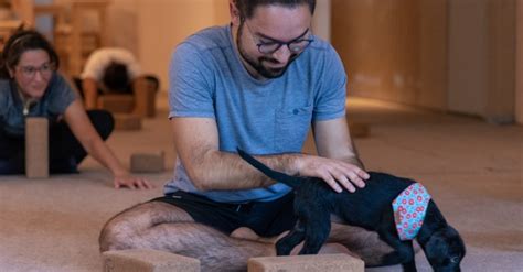 Braga Lisboa E Agora Paris Ioga E Pilates Com Cachorros São As