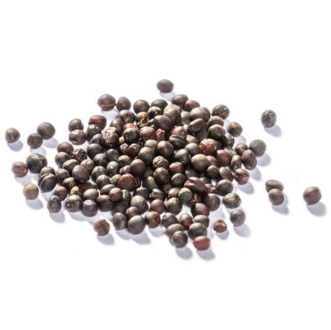 Oilseed Processing Oilseed Preparation Bühler Group