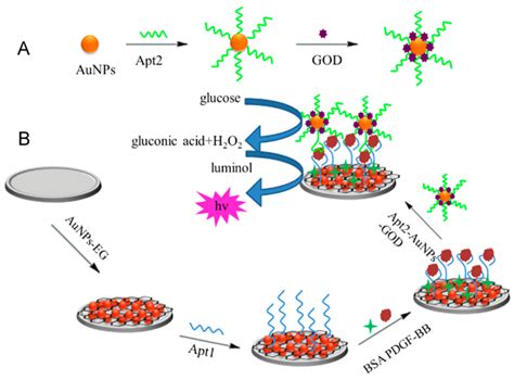 Research Progress On Bionic Recognition And Biosensors For The Detection Of Biomarkers Of
