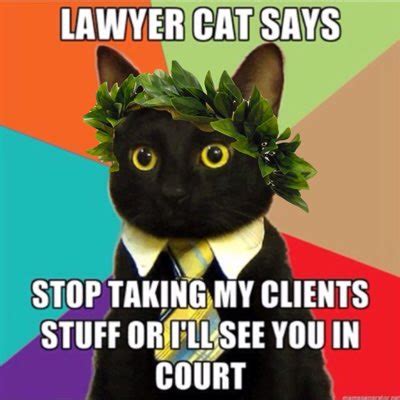 Lawyer Cat Meme