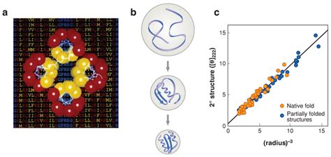 A Binary Code Experiments Show That A Primarily Binary Download Scientific Diagram