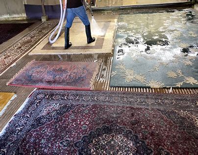 Zoom Rug On Behance