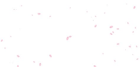 Vue特效库：炫酷动画效果集合 Csdn博客