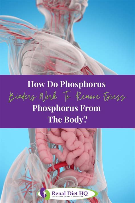 How Do Phosphorus Binders Work At Isaac Brier Blog