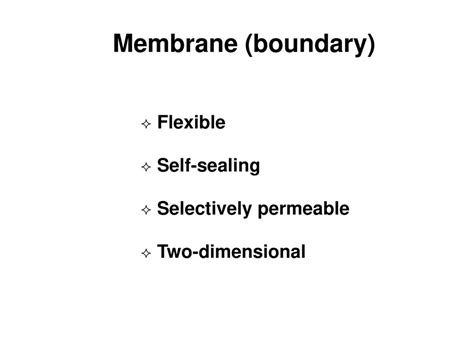 Biological Membrane And Transport Ppt Download