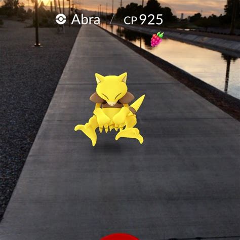 Western Canal Path Srp 5 Tips From 238 Visitors