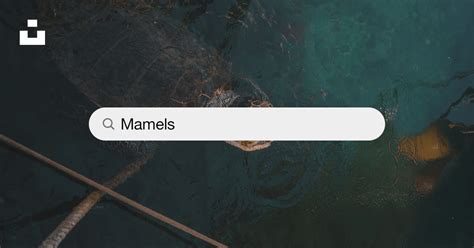 Mamels Photos Télécharger Des Images Gratuites Sur Unsplash