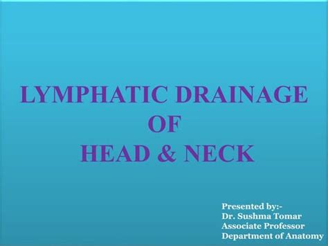 Inguinal Lymph Nodesppt Sexual Conditions Sexual Health