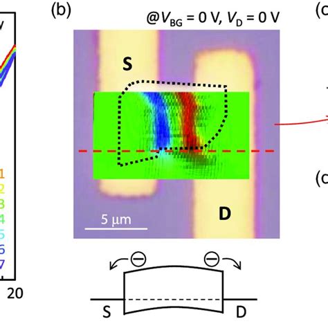 A I D V Bg Curve Of The 19 Nm‐thick Pdse2 Photodetector Under Download Scientific Diagram