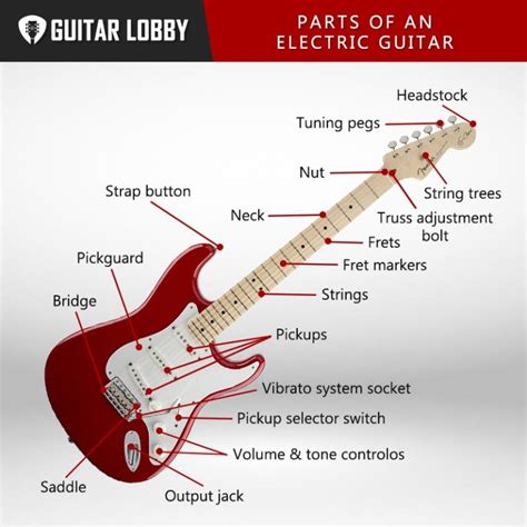 Parts Of An Electric Guitar With Diagram And Videos 2026 Guitar Lobby