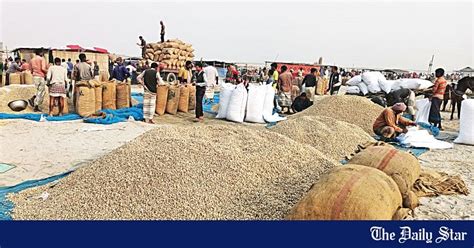 Farmers Frustrated By Poor Price Of Peanuts The Daily Star