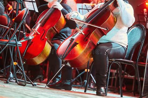 Stringed Musical Instrument Double Bass In The Orchestra Stock Image