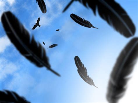 Crow Feather Wallpapers Top Free Crow Feather Backgrounds