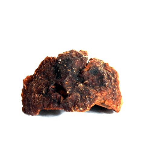 Buy Bael Fruit | Bel Giri | Aegle Marmelos - بیل گری at Best Price