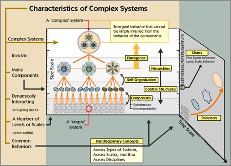 Unveiling The Beauty Of Complex Systems