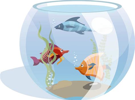 Acuario Redondo Con Tres Peces De Colores Y Algas Aislado En Fondo