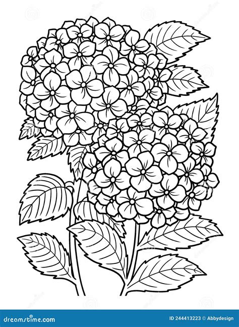Hydrangea Coloring Page With Detailed Character Illustrations