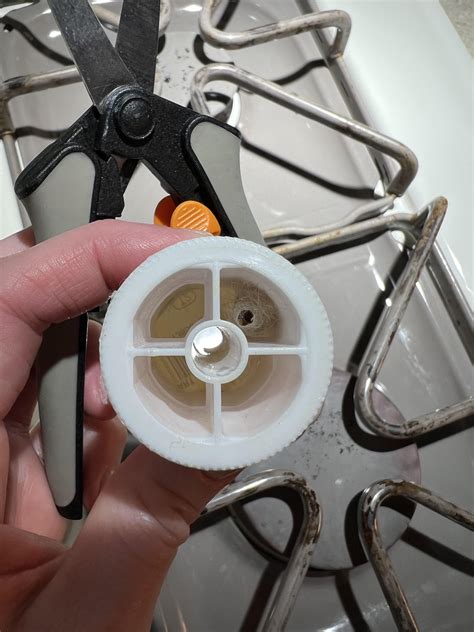 Found Inside This Spool Of Thread Theyve Probably Long Since Hatched