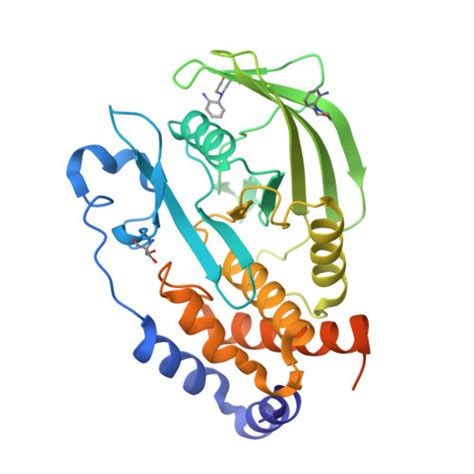 Rcsb Pdb 7gsi Pandda Analysis Group Deposition Crystal Structure Of Ptp1b In Complex With