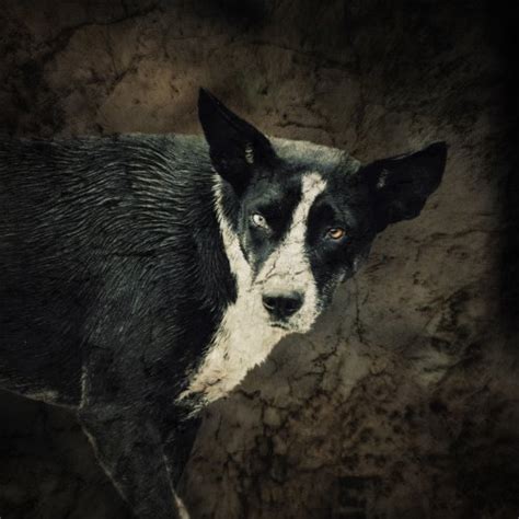 Letra De Radio Paila A Lo Peridol Feat Consulado Popular And Nepentes