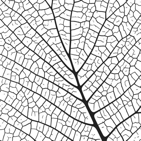 Leaf Texture Pattern