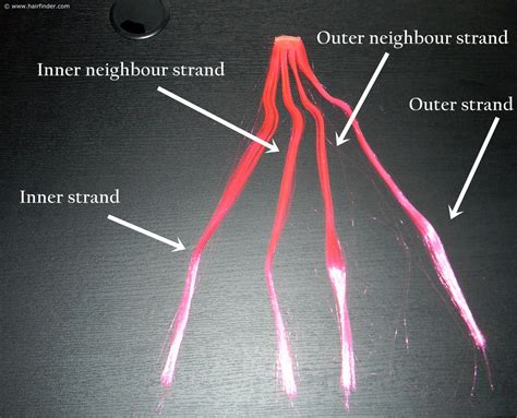 How To Make A Four Strand Braid With Clip In Hair Extensions