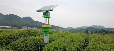 安装太阳能杀虫灯 有利于响应碳中和发展 行业动态 湖南本业绿色防控科技股份有限公司