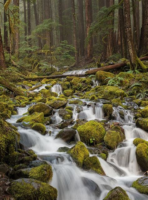 Sol Duc Forest Rapids Olympic National Park Wa