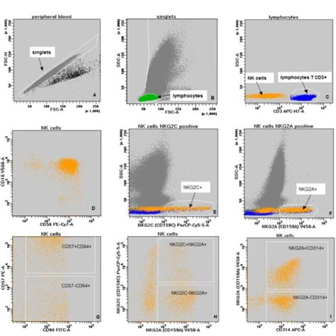The Gating Strategy A G Grey Singlets Green Lymphocytes Blue