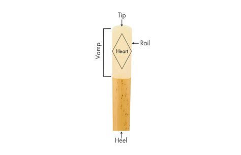 Reeds 101 For Band Directors