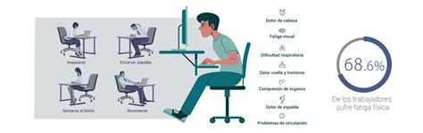 Sillas Ergonómicas Y Posturas Correctas Claves Para La Productividad
