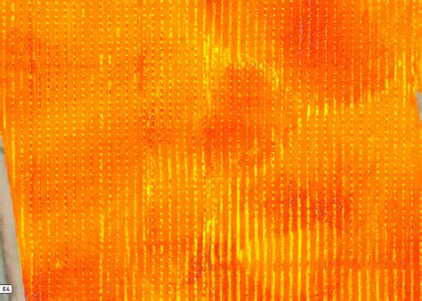 How To Calculate The Canopy Coverage And The Height And Trees Count