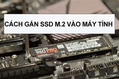 Cách gắn SSD M vào máy tính cho người mới Vũ Trang Computer