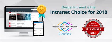 6 Reasons Why Bonzais Sharepoint Intranet Has Had Record Success