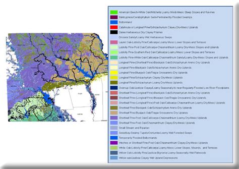 Texas Ecological Classification System Mapping Project Morap