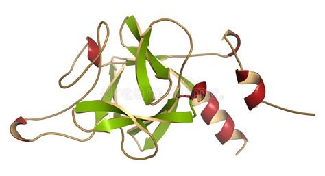 Fibroblast Growth Factor 9 Fgf9 Glia Activating Factor Protein Plays