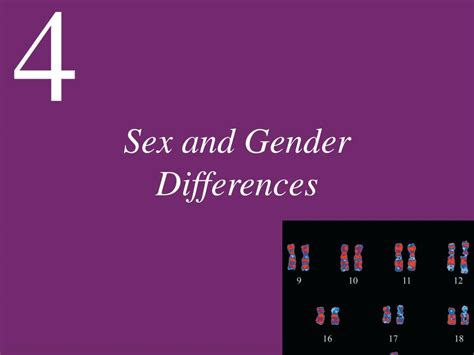 Ppt Sex And Gender Differences Powerpoint Presentation Free Download