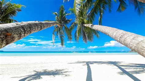 A Guide To Boracay Island Visayas