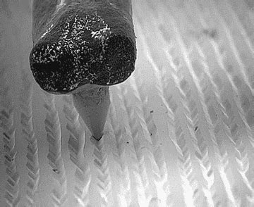 61 Photos That Low Key Blew My Mind