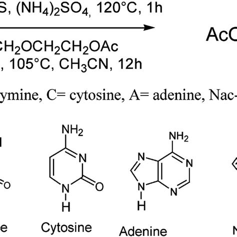 Pdf One Pot Synthesis Of Antiviral Acyclovir And Other Nucleosides