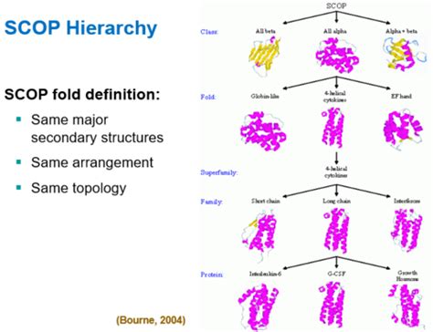 Biochem Chapter 6 Flashcards Quizlet